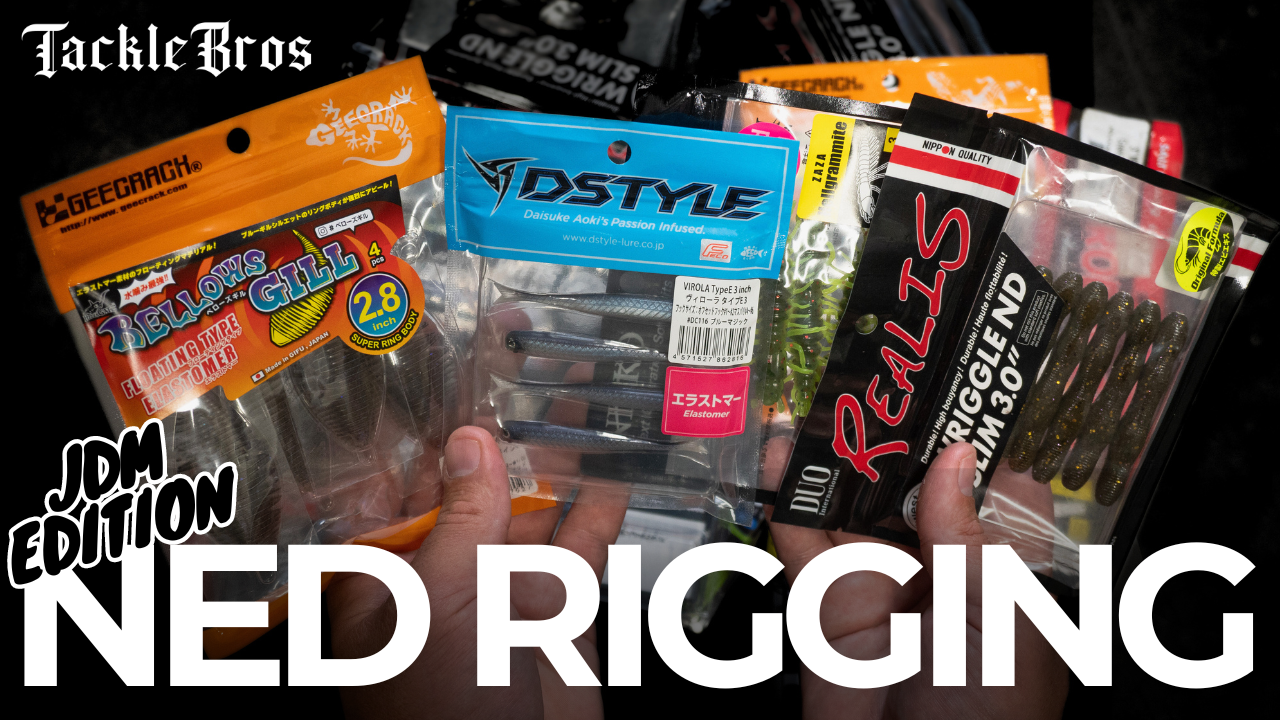 Our Most Successful JDM Ned Rig Baits
