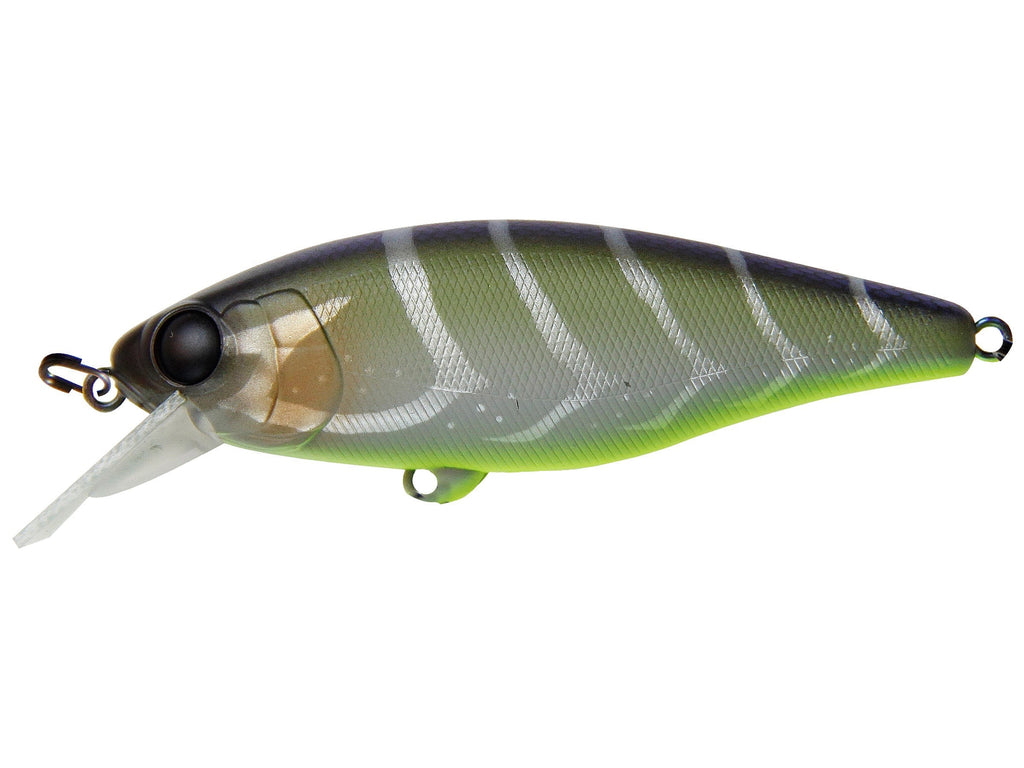 Jackall Chubble Crankbait
